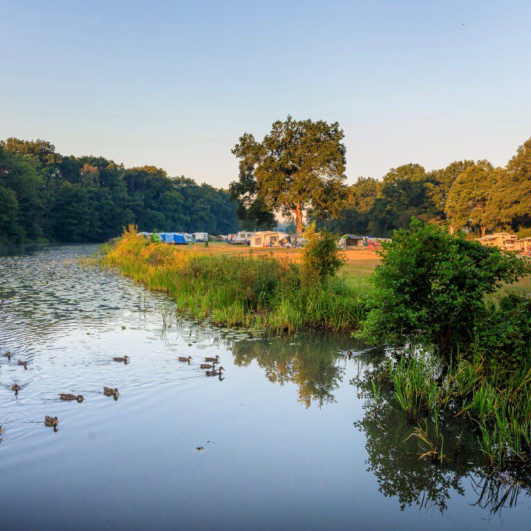 Huttopia De Roos - natuurcamping in het Vechtdal | Bijzonderecamping.nl