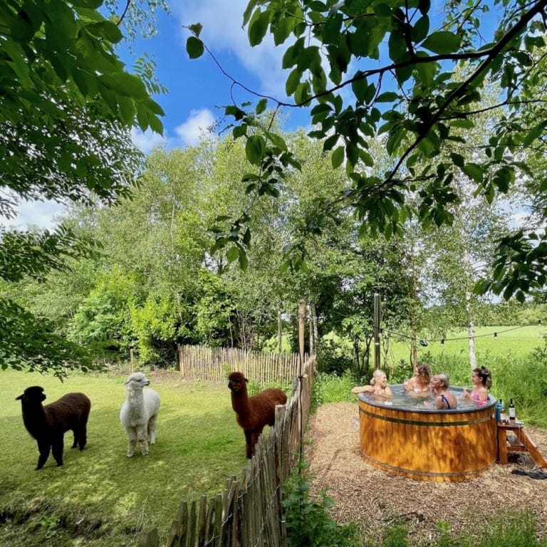 12x hippe campings in Nederland - Bijzonderecamping.nl