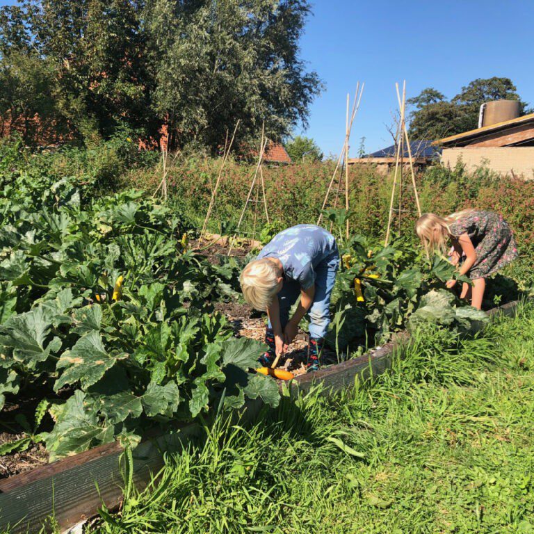 Stadsboerderij de Sibbe - Camping Sneek | Bijzonderecamping.nl